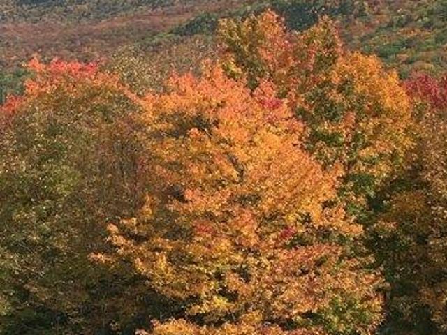 house with 2 bedroom, Warren NH DS102154655