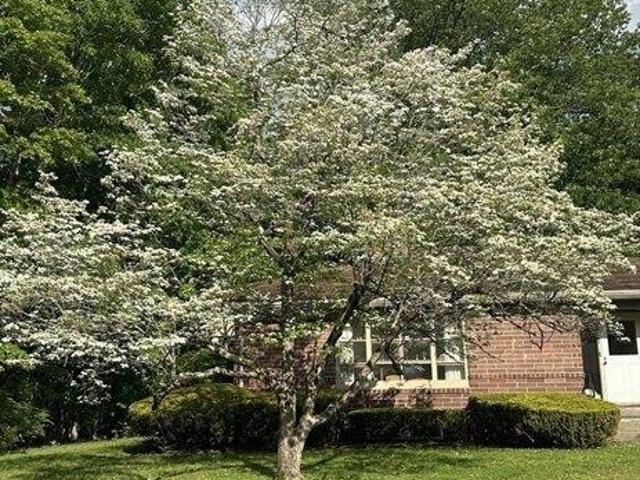 house with 2 bedroom, Westfield MA ES103662360