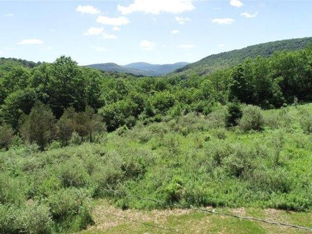 house with 2 bedroom, Andes NY ES104904397