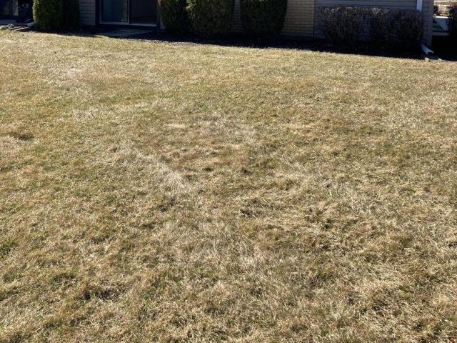 house with 2 bedroom, Bloomingdale IL DS100973256