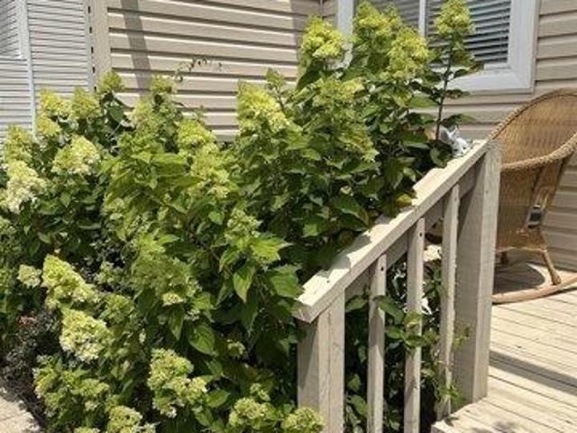 house with 2 bedroom, Brigantine NJ DS102256301