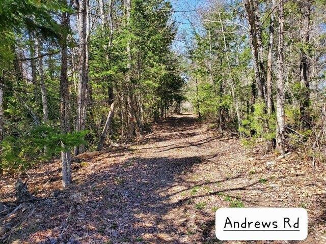 house with 2 bedroom, Corinth ME ES104848489