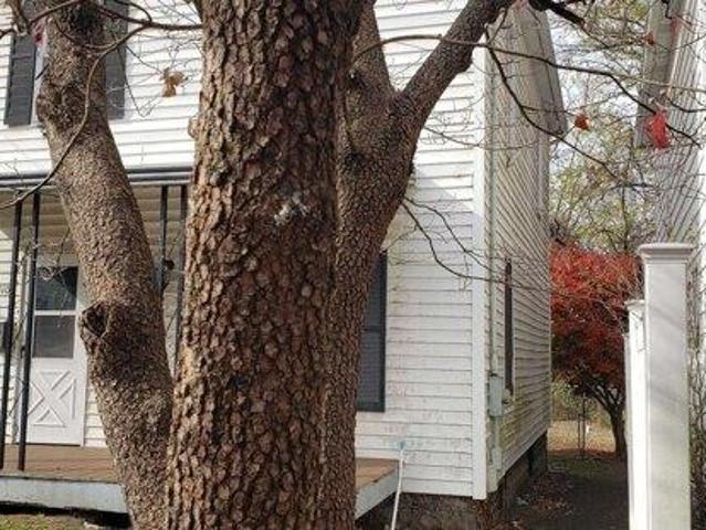 house with 2 bedroom, Clarksburg WV ES88965738