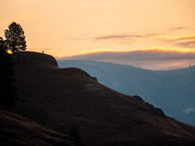 house with 2 bedroom, Dayton MT DLS93346864