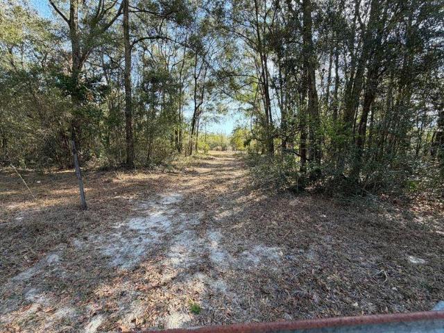 house with 2 bedroom, Fort White FL DS100973663