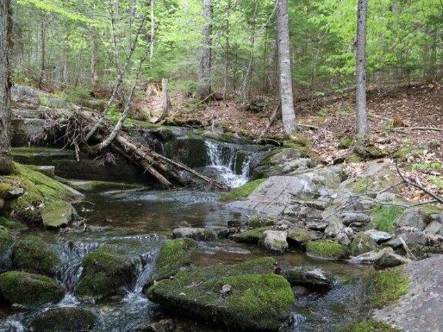 house with 2 bedroom, Greenville ME DS103889598