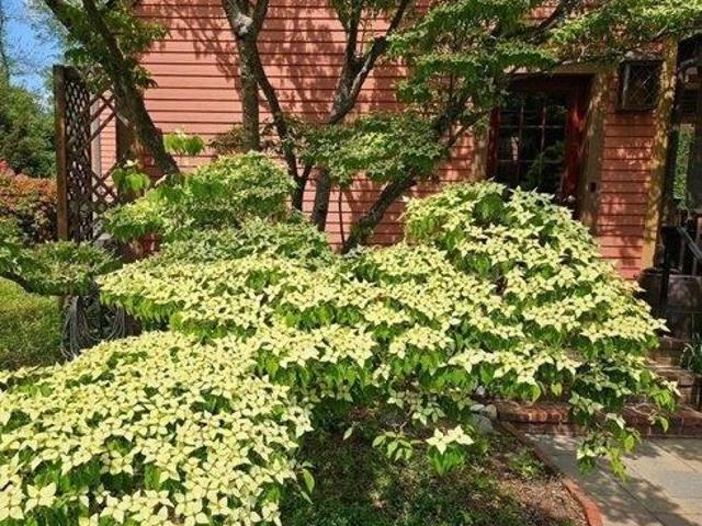 house with 2 bedroom, Ipswich MA DS103127062