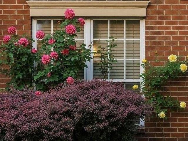 house with 2 bedroom, Jersey City NJ ES105141730