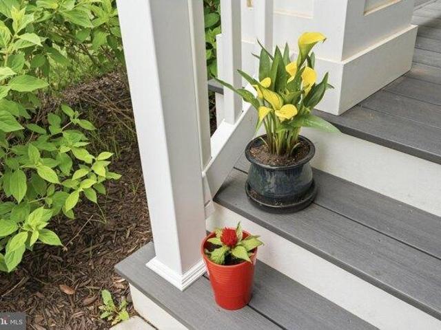 house with 2 bedroom, Lewes DE ES103601861