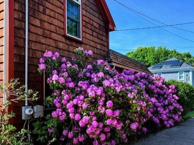house with 2 bedroom, Plymouth MA ES105081377