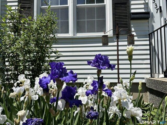 house with 2 bedroom, Stamford CT DLS102799781