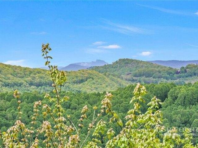 house with 3 bedroom, Todd NC DS103603865