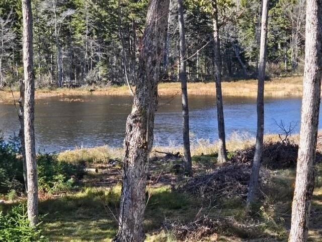 house with 3 bedroom, Washington NH ES105127252