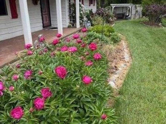 house with 3 bedroom, Wilkesboro NC DS103603160