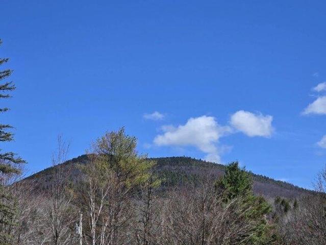 house with 3 bedroom, Bartlett NH DS101707622