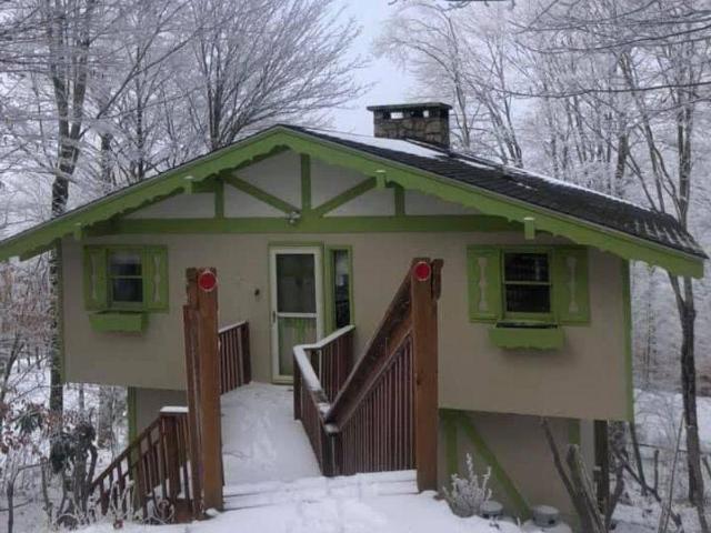 house with 3 bedroom, Beech Mountain NC ES100973541
