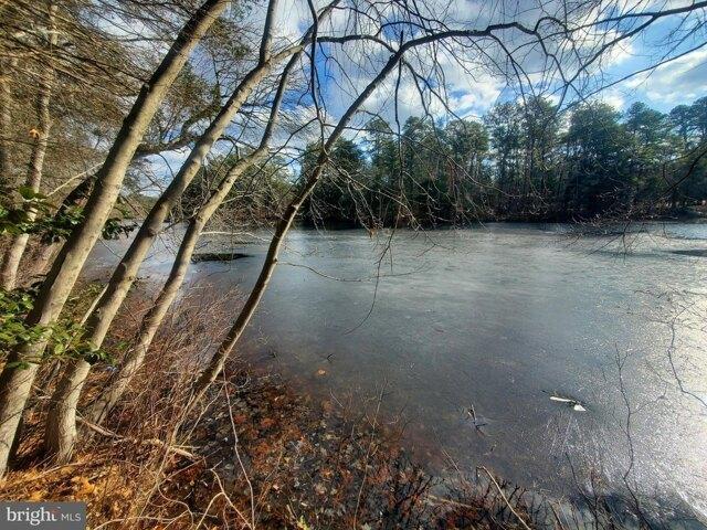 house with 3 bedroom, Browns Mills NJ DS102726832