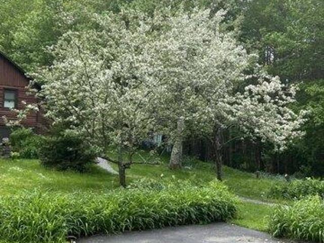 house with 3 bedroom, Brunswick ME DS102258630