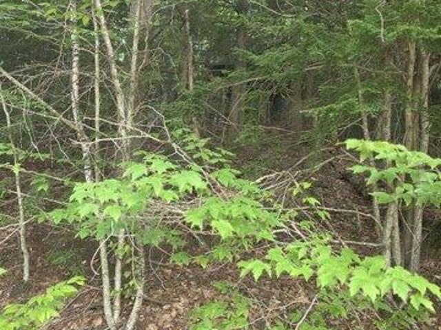 house with 3 bedroom, Campton NH ES104044476