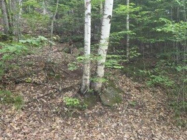 house with 3 bedroom, Campton NH ES105112845