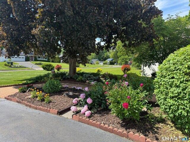house with 3 bedroom, Cheshire CT DS103097903
