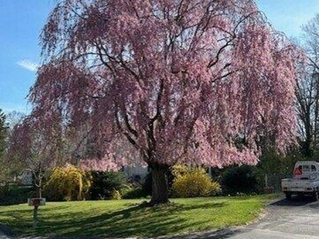 house with 3 bedroom, Deep River CT ES105173092