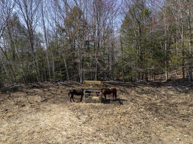 house with 3 bedroom, Deerfield NH DS101781310