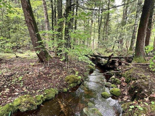 house with 3 bedroom, Deering NH DLS103099018