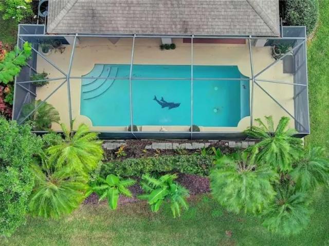 house with 3 bedroom, FL FL DS102588877