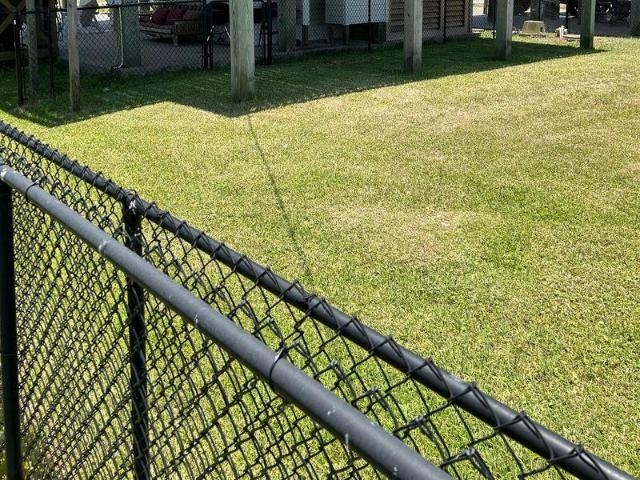 house with 3 bedroom, Galveston TX DS100973305