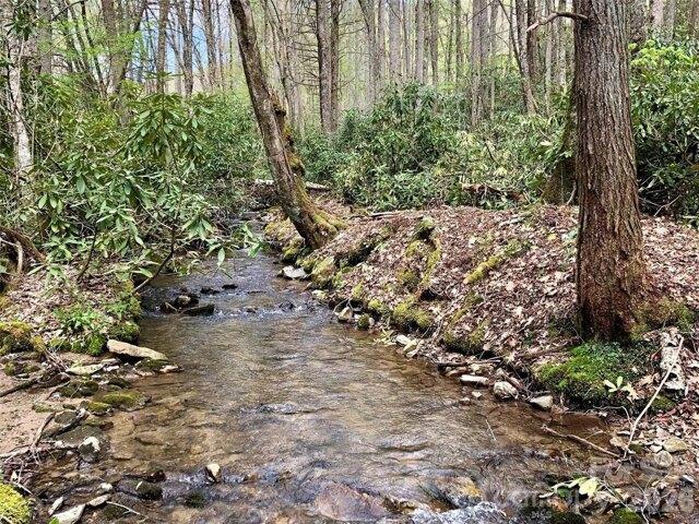 house with 3 bedroom, Green Mountain NC DS103604296