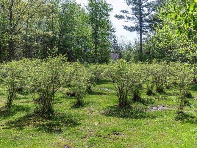 house with 3 bedroom, Hopkinton NH ES103019348