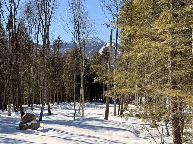 house with 3 bedroom, Jay VT ES103069976