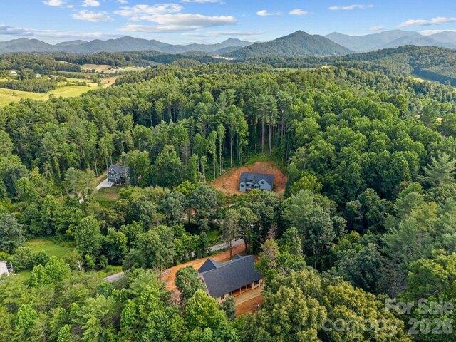 house with 3 bedroom, Leicester NC ES104908243
