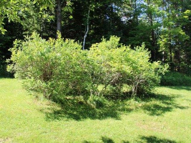 house with 3 bedroom, Littleton NH DS103438094