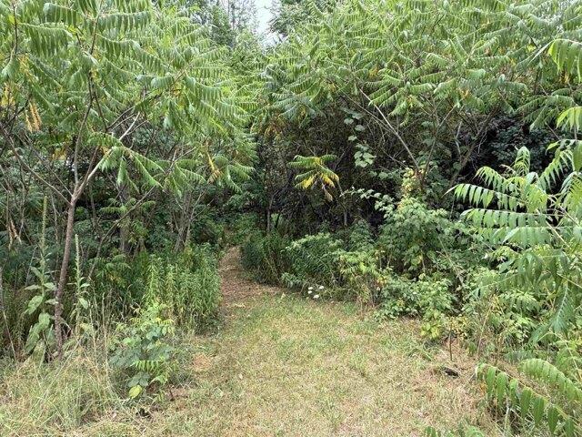 house with 3 bedroom, Milton VT ES105280077