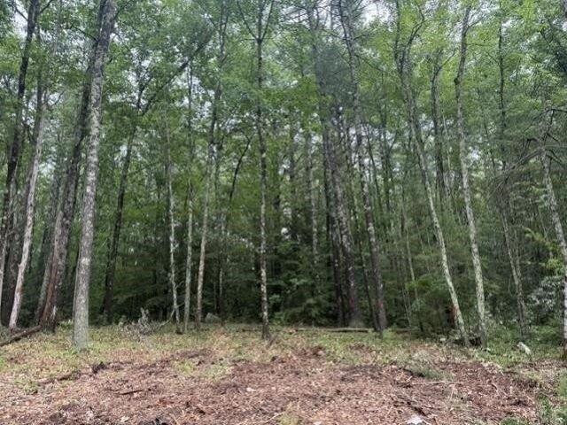 house with 3 bedroom, Milford NH ES103966015