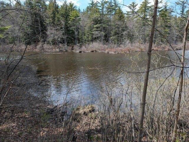 house with 3 bedroom, New Durham NH ES104606192