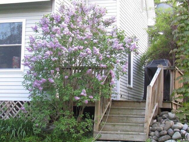 house with 3 bedroom, Orleans VT ES103927619