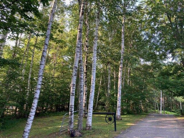 house with 3 bedroom, Pittsfield NH ES105193443