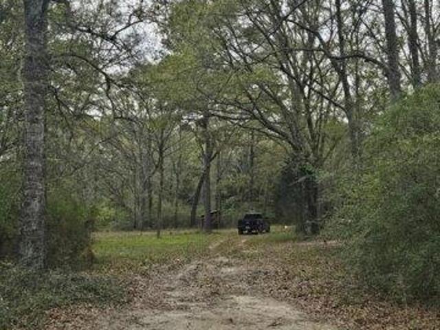 house with 3 bedroom, Ponce De Leon FL DLS91817492