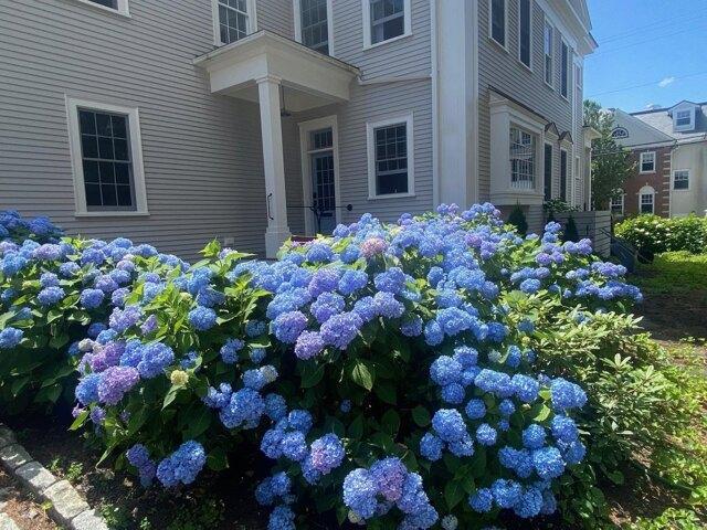 house with 3 bedroom, Portsmouth NH DLS102634090
