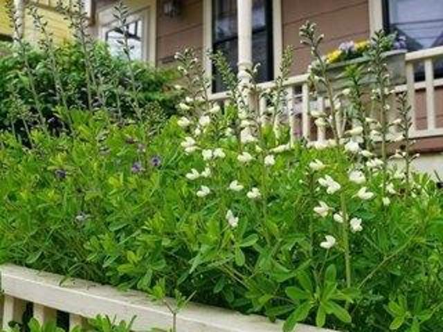 house with 3 bedroom, Somerville MA ES105081588