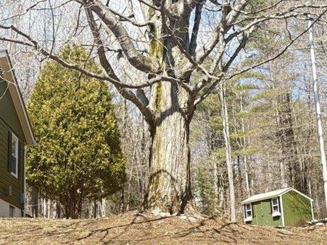 house with 3 bedroom, Springfield VT ES104115963