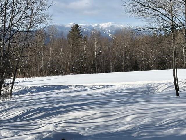 house with 3 bedroom, Stowe VT DLS101631941