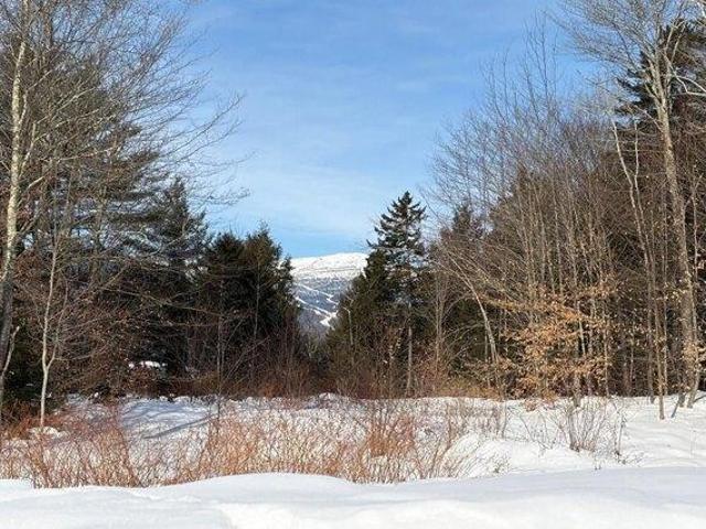 house with 3 bedroom, Stowe VT DS103499783
