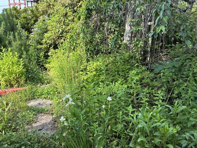 house with 3 bedroom, Steuben ME ES105123276
