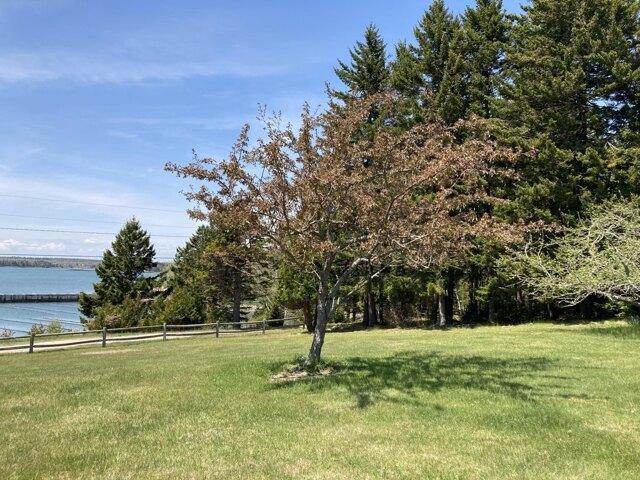 house with 3 bedroom, Steuben ME ES103099869