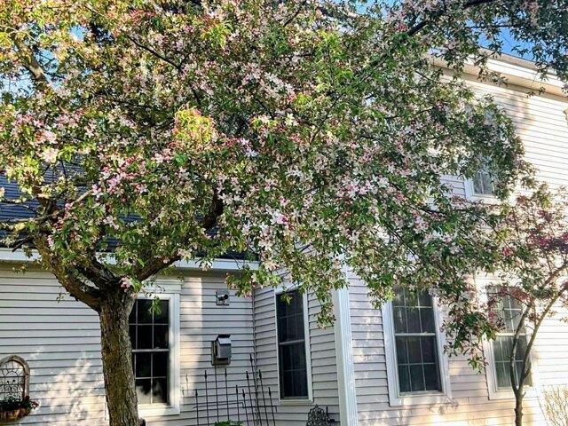 house with 3 bedroom, Strafford NH ES104188360
