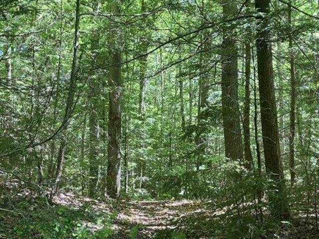house with 4 bedroom, Wilmington VT ES104352208